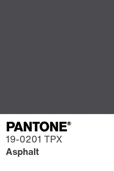 PANTONE 19-0201 TPG Asphalt - Pantone色号库|Pantone潘通中国官网