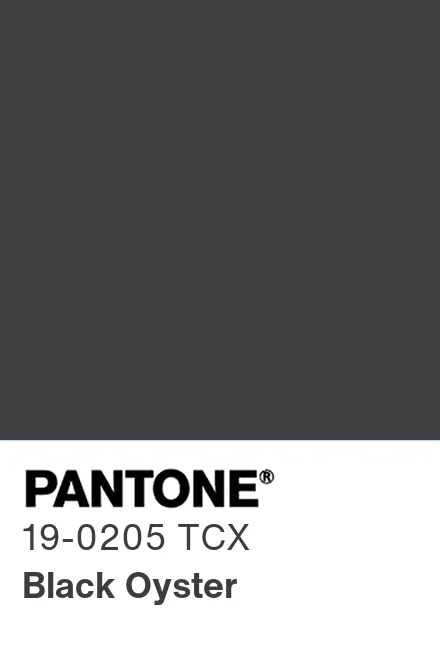 PANTONE 19-0205 TCX Black Oyster - Pantone色号库|Pantone潘通中国官网