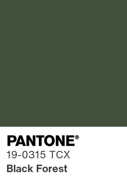 PANTONE 19-0315 TCX Black Forest - Pantone色号库|Pantone潘通中国官网