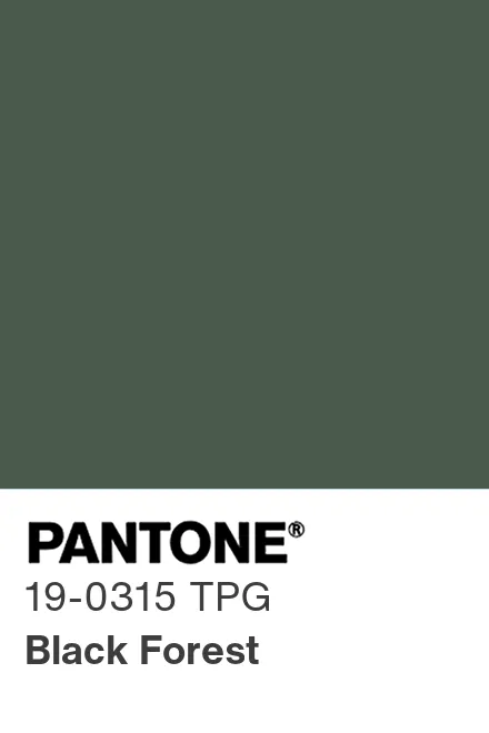 PANTONE 19-0315 TPG Black Forest - Pantone色号库|Pantone潘通中国官网