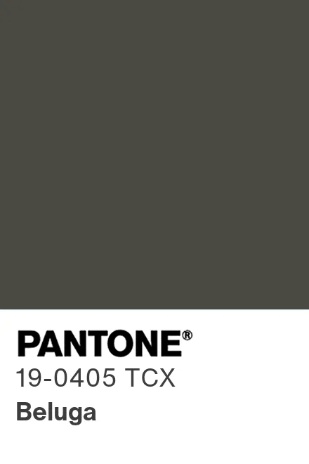 PANTONE 19-0405 TCX Beluga - Pantone色号库|Pantone潘通中国官网