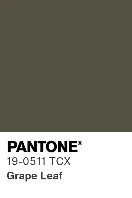 PANTONE 19-0511 TCX Grape Leaf - Pantone色号库|Pantone潘通中国官网