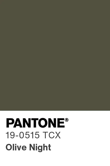 PANTONE 19-0515 TCX Olive Night - Pantone色号库|Pantone潘通中国官网