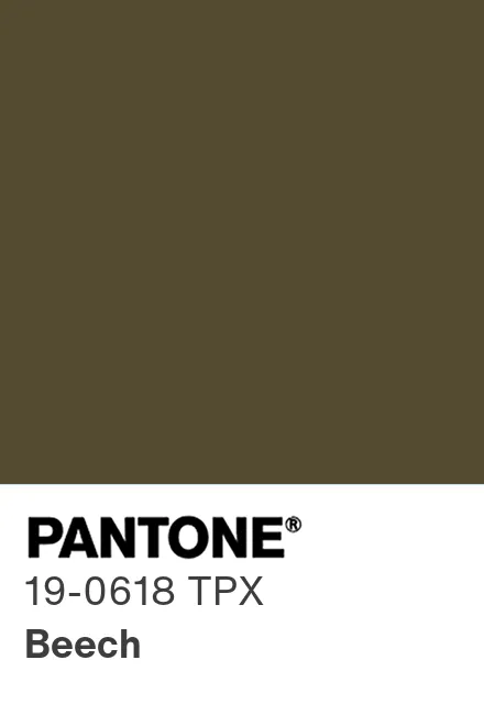 PANTONE 19-0618 TPG Beech - Pantone色号库|Pantone潘通中国官网