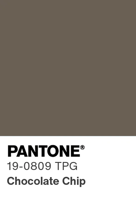 PANTONE 19-0809 TPG Chocolate Chip - Pantone色号库|Pantone潘通中国官网