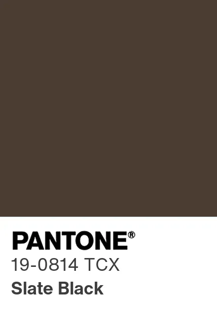 PANTONE 19-0814 TCX Slate Black - Pantone色号库|Pantone潘通中国官网