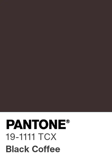 PANTONE 19-1111 TCX Black Coffee - Pantone色号库|Pantone潘通中国官网