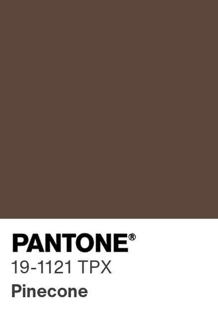 PANTONE 19-1121 TPG Pinecone - Pantone色号库|Pantone潘通中国官网