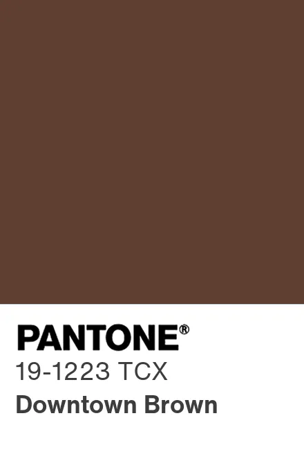 PANTONE 19-1223 TCX Downtown Brown - Pantone色号库|Pantone潘通中国官网