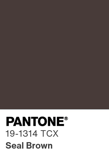 PANTONE 19-1314 TCX Seal Brown - Pantone色号库|Pantone潘通中国官网