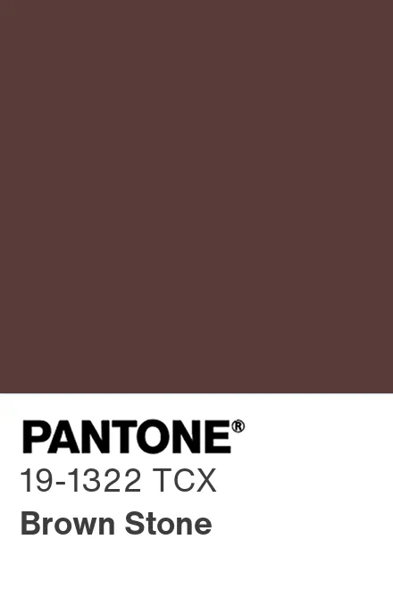 PANTONE 19-1322 TCX Brown Stone - Pantone色号库|Pantone潘通中国官网