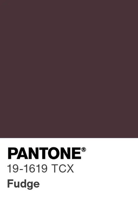 PANTONE 19-1619 TCX Fudge - Pantone色号库|Pantone潘通中国官网