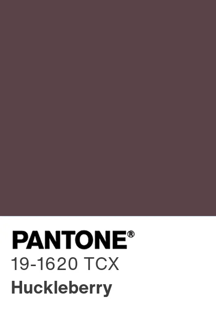 PANTONE 19-1620 TCX Huckleberry - Pantone色号库|Pantone潘通中国官网