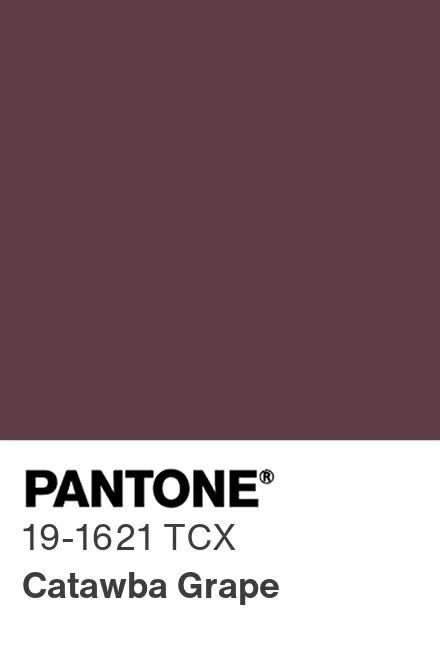 PANTONE 19-1621 TCX Catawba Grape - Pantone色号库|Pantone潘通中国官网
