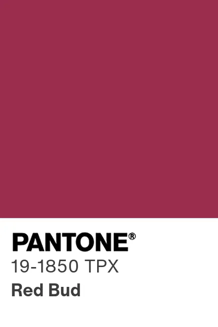 PANTONE 19-1850 TPG Red Bud - Pantone色号库|Pantone潘通中国官网