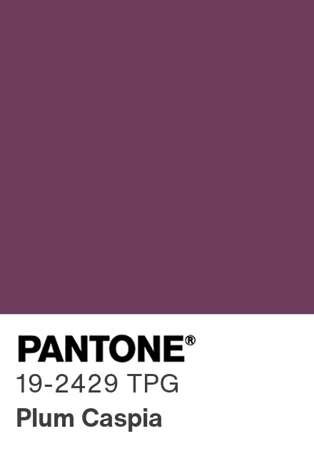 PANTONE 19-2429 TPG Plum Caspia - Pantone色号库|Pantone潘通中国官网