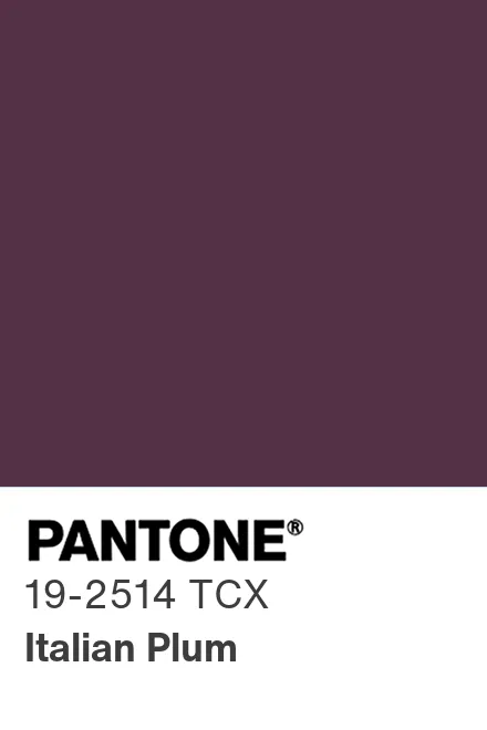 PANTONE 19-2514 TCX Italian Plum - Pantone色号库|Pantone潘通中国官网