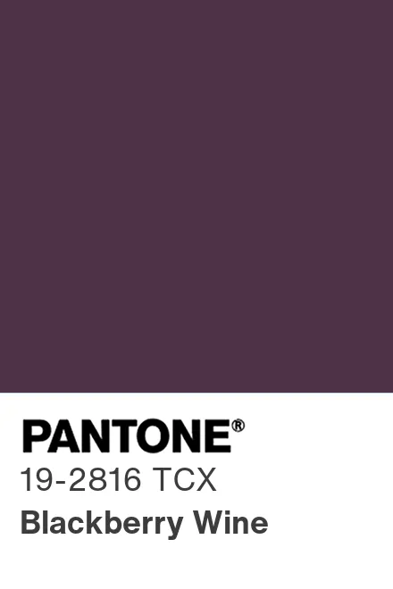 PANTONE 19-2816 TCX Blackberry Wine - Pantone色号库|Pantone潘通中国官网