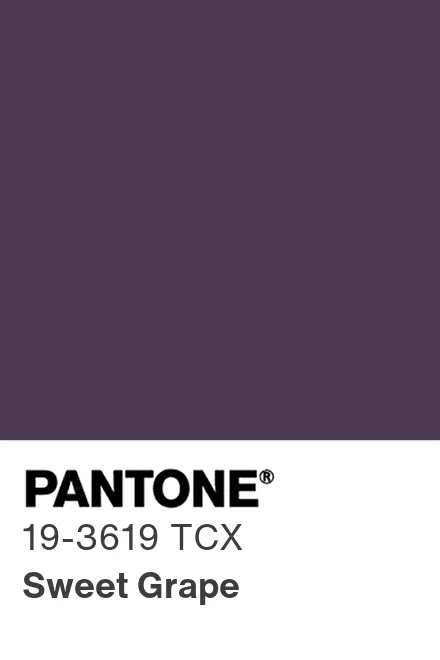 PANTONE 19-3619 TCX Sweet Grape - Pantone色号库|Pantone潘通中国官网