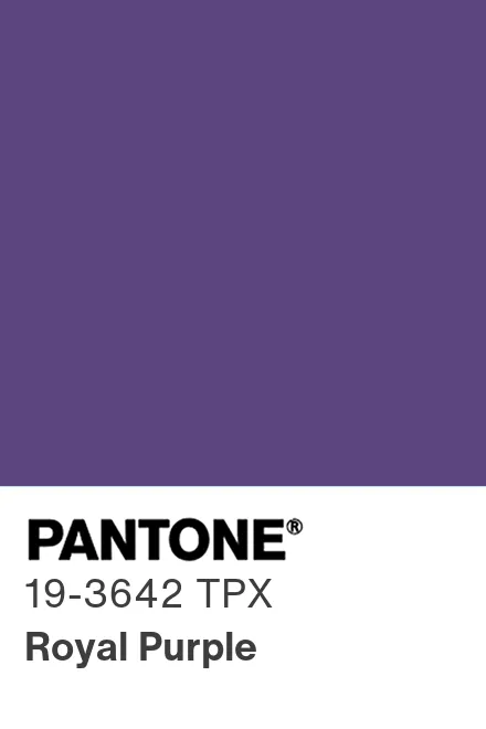 PANTONE 19-3642 TPG Royal Purple - Pantone色号库|Pantone潘通中国官网