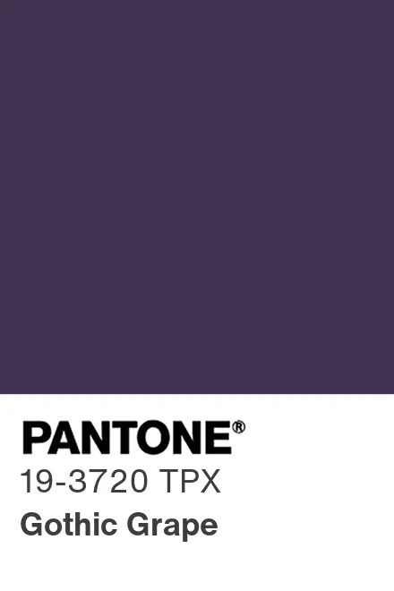 PANTONE 19-3720 TPG Gothic Grape - Pantone色号库|Pantone潘通中国官网