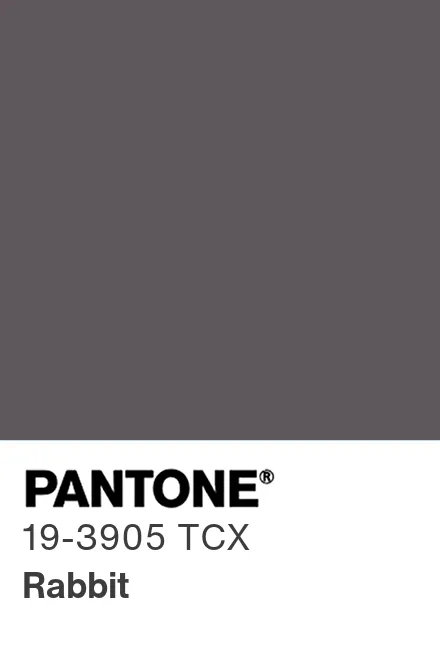 PANTONE 19-3905 TCX Rabbit - Pantone色号库|Pantone潘通中国官网