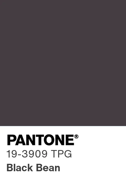 PANTONE 19-3909 TPG Black Bean - Pantone色号库|Pantone潘通中国官网