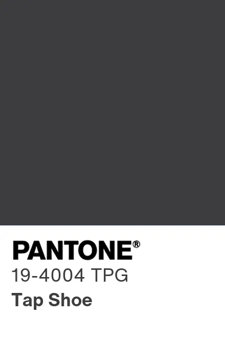 PANTONE 19-4004 TPG Tap Shoe - Pantone色号库|Pantone潘通中国官网