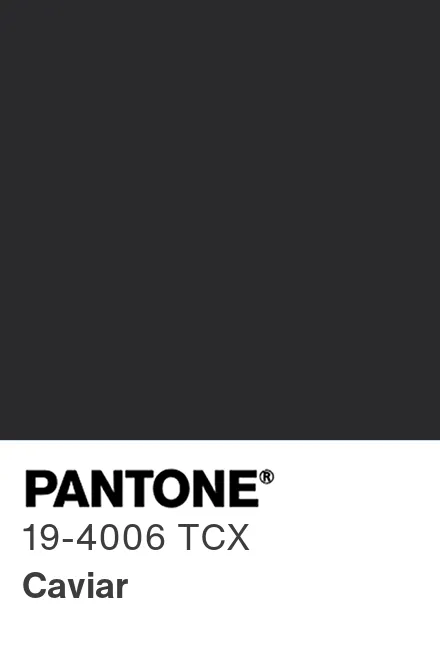 PANTONE 19-4006 TCX Caviar - Pantone色号库|Pantone潘通中国官网