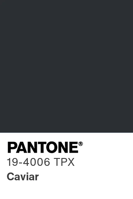 PANTONE 19-4006 TPG Caviar - Pantone色号库|Pantone潘通中国官网