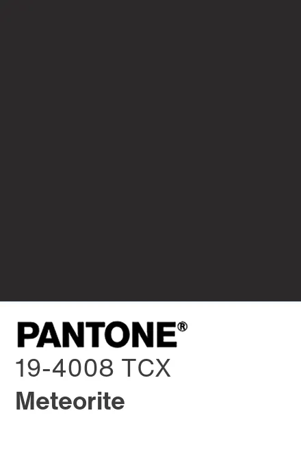 PANTONE 19-4008 TCX Meteorite - Pantone色号库|Pantone潘通中国官网