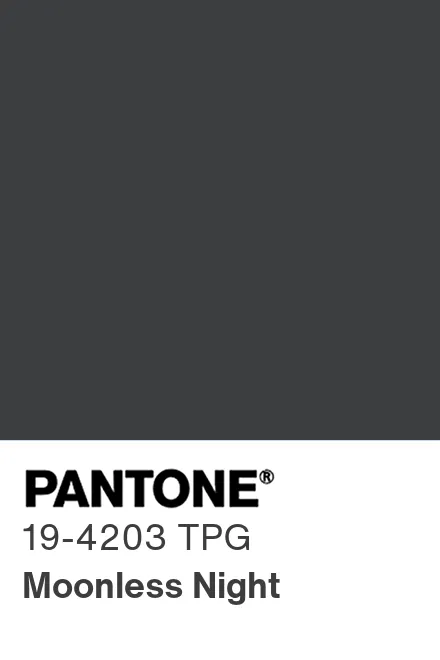 PANTONE 19-4203 TPG Moonless Night - Pantone色号库|Pantone潘通中国官网