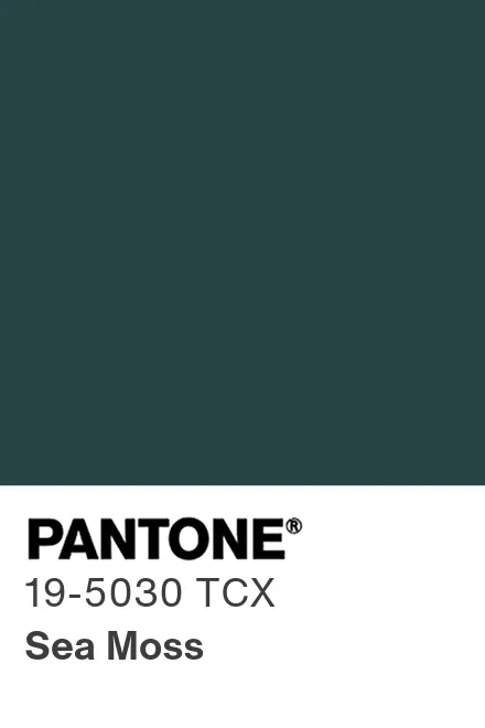 PANTONE 19-5030 TCX Sea Moss - Pantone色号库|Pantone潘通中国官网