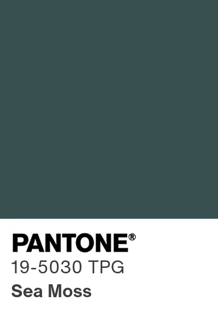 PANTONE 19-5030 TPG Sea Moss - Pantone色号库|Pantone潘通中国官网