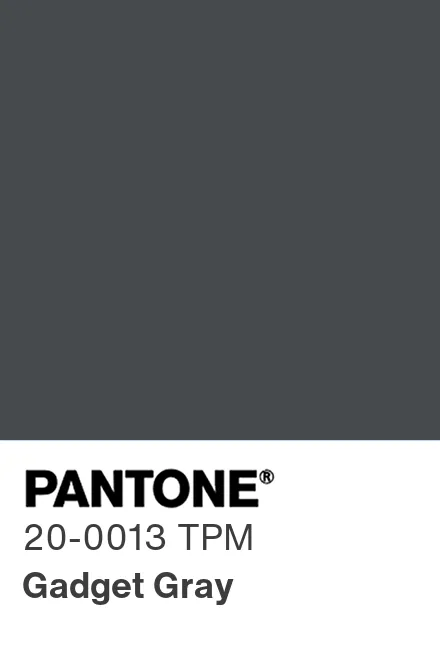 PANTONE 20-0013 TPM Gadget Gray - Pantone色号库|Pantone潘通中国官网
