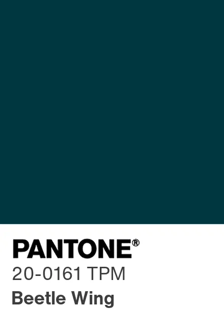 PANTONE 20-0161 TPM Beetle Wing - Pantone色号库|Pantone潘通中国官网