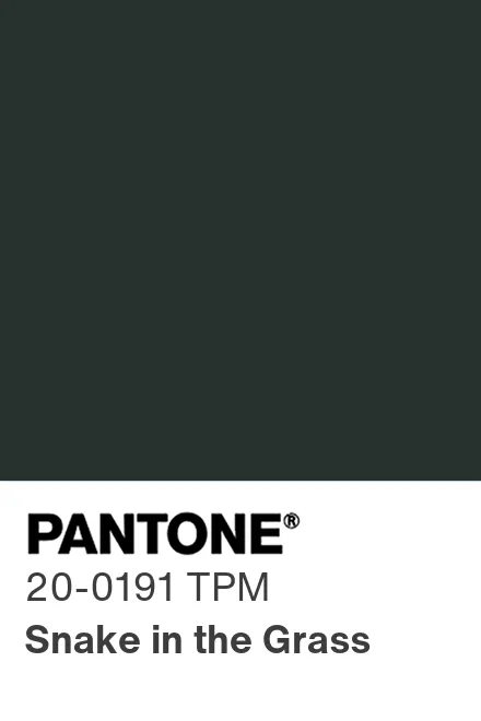 PANTONE 20-0191 TPM Snake in the Grass - Pantone色号库|Pantone潘通中国官网