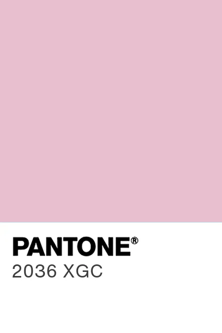 PANTONE 2036 XGC - Pantone色号库|Pantone潘通中国官网