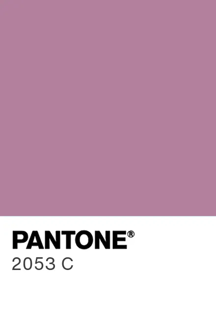 PANTONE 2053 C - Pantone色号库|Pantone潘通中国官网