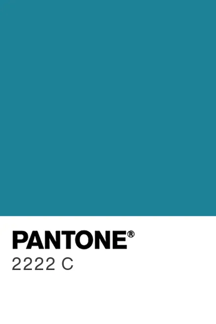 PANTONE 2222 C - Pantone色号库|Pantone潘通中国官网