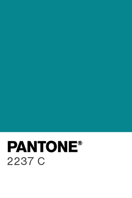 PANTONE 2237 C - Pantone色号库|Pantone潘通中国官网