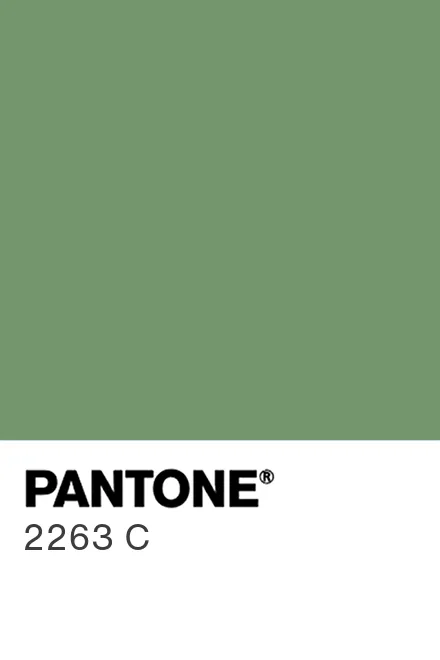 PANTONE 2263 C - Pantone色号库|Pantone潘通中国官网