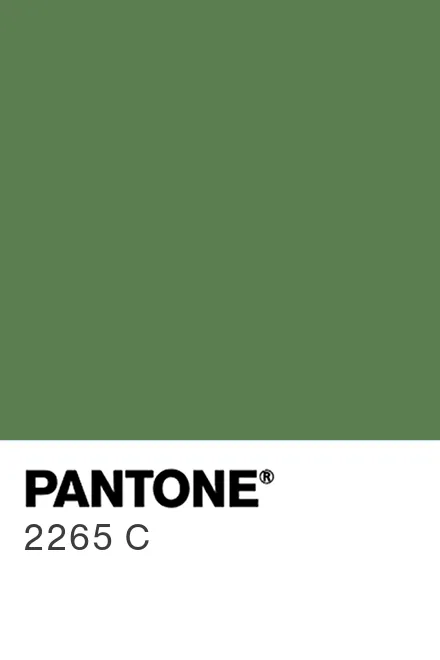 PANTONE 2265 C - Pantone色号库|Pantone潘通中国官网