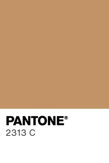 PANTONE 2313 C - Pantone色号库|Pantone潘通中国官网