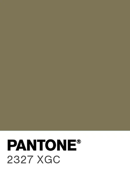 PANTONE 2327 XGC - Pantone色号库|Pantone潘通中国官网