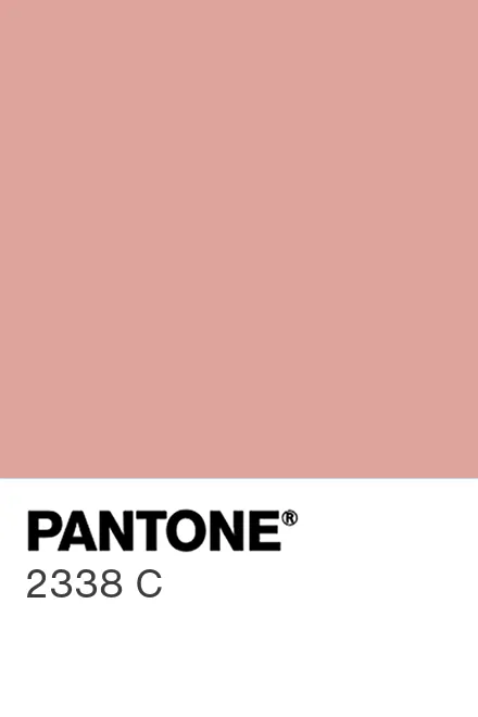 PANTONE 2338 C - Pantone色号库|Pantone潘通中国官网