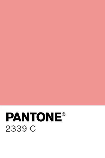 PANTONE 2339 C - Pantone色号库|Pantone潘通中国官网