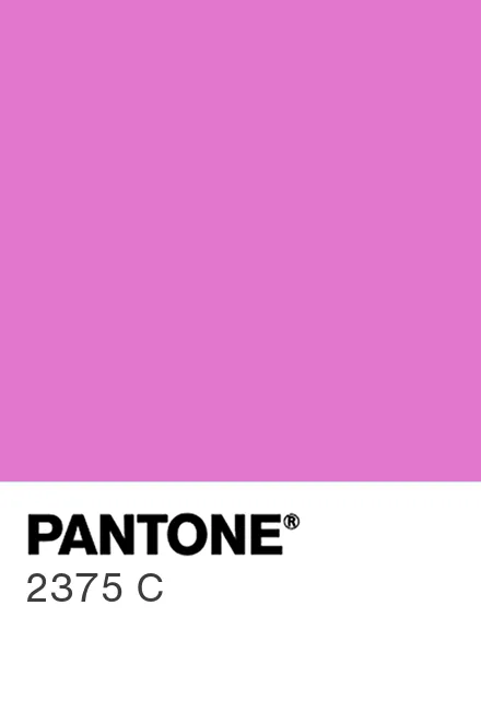 PANTONE 2375 C - Pantone色号库|Pantone潘通中国官网