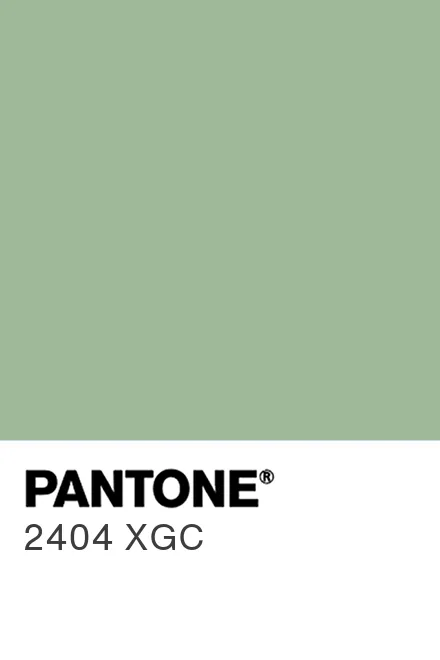 PANTONE 2404 XGC - Pantone色号库|Pantone潘通中国官网