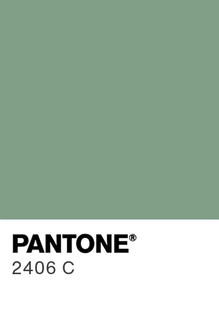 PANTONE 2406 C - Pantone色号库|Pantone潘通中国官网
